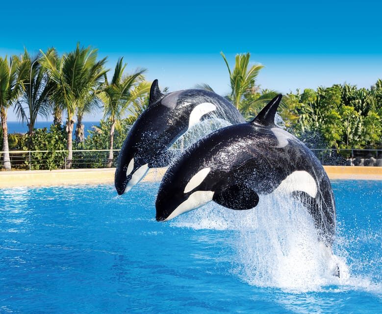 Loro Parque and Siam Park Combined Admission Tickets