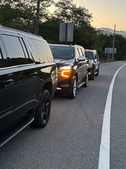 Los Angeles: 1-Way Private Transfer from LAX to Disneyland - Smooth and Stress-Free: Los Angeles LAX to Disneyland Private Transfer Review
