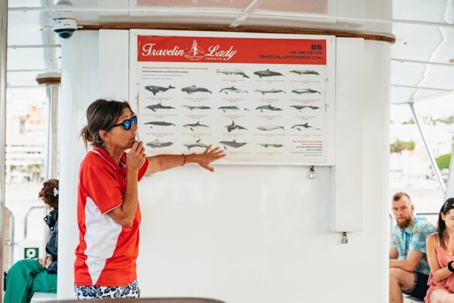 Los Cristianos: Eco-Yacht Whale Watching Cruise with Swim - What Makes This Whale Watching Cruise Special?