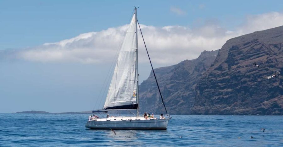 Los Gigantes: Sailing Excursion with Swimming, Drink & Tapas - Practical Tips for Participants