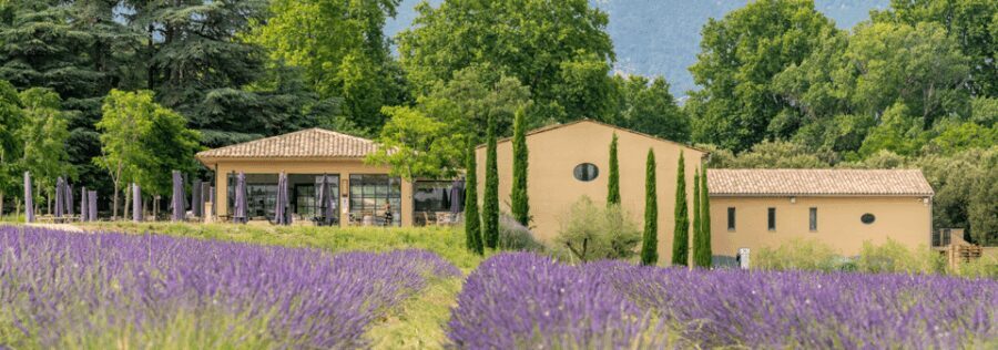 Luberon: Vineyard Tour and Wine Tasting - The Value of the Experience