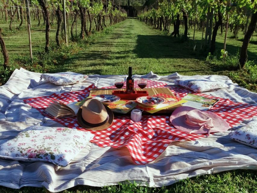 Lucca: Picnic Lunch at a Vineyard by Bike - The Path to the Vineyard