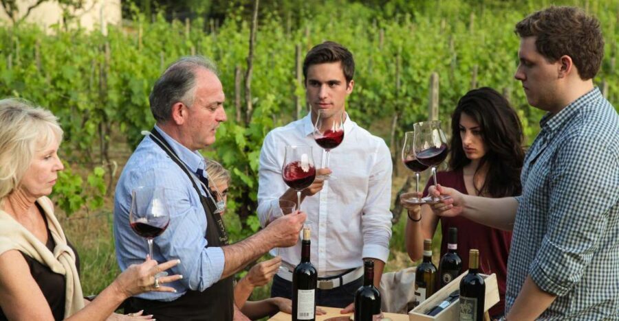 Lunch in the garden and Wine Tasting - The Experience Unpacked