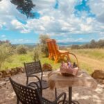 Lunch Picnic in the scenic hills of Maremma Tuscany - Practical Details That Matter