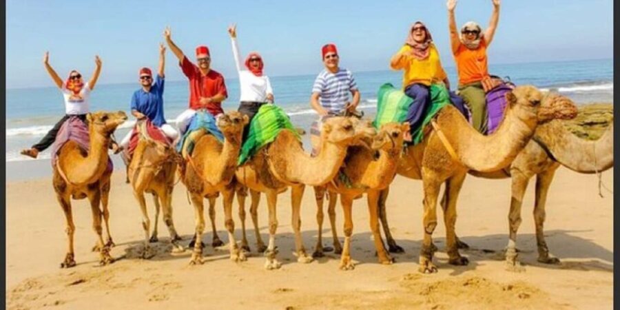 Luxury Private Tangier Tour from Estepona all inclusive - Deep Dive into the Itinerary