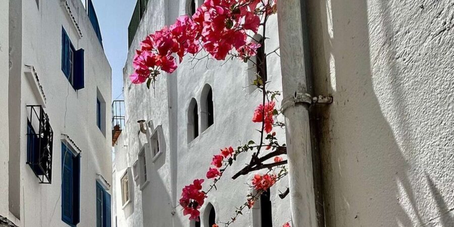 Luxury Private Tangier Tour from Marbella all inclusive - The Value and What to Expect