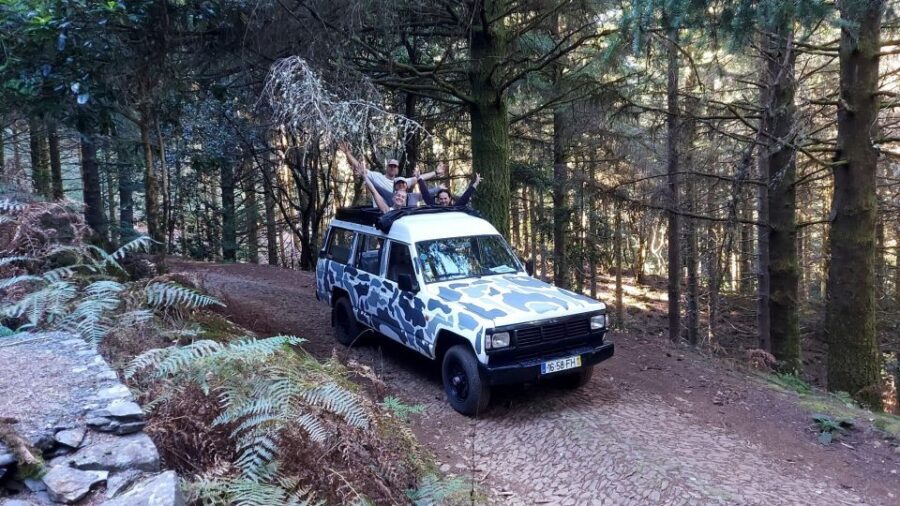 Madeira: 4 hours Classic Jeep tour in Central Madeira - Who Will Enjoy This Tour?