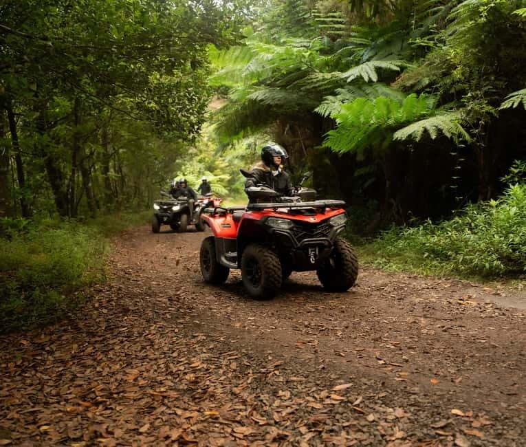 Madeira: Aventura Off-Road de ATV ou Quad - Adrenalina - The Sum Up: Who Will Love This Adventure?