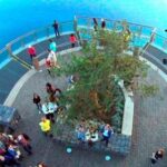 Madeira: Cabo Girao, Jeep Tour Adventure and Wine Tasting - Whats Included and Whats Not