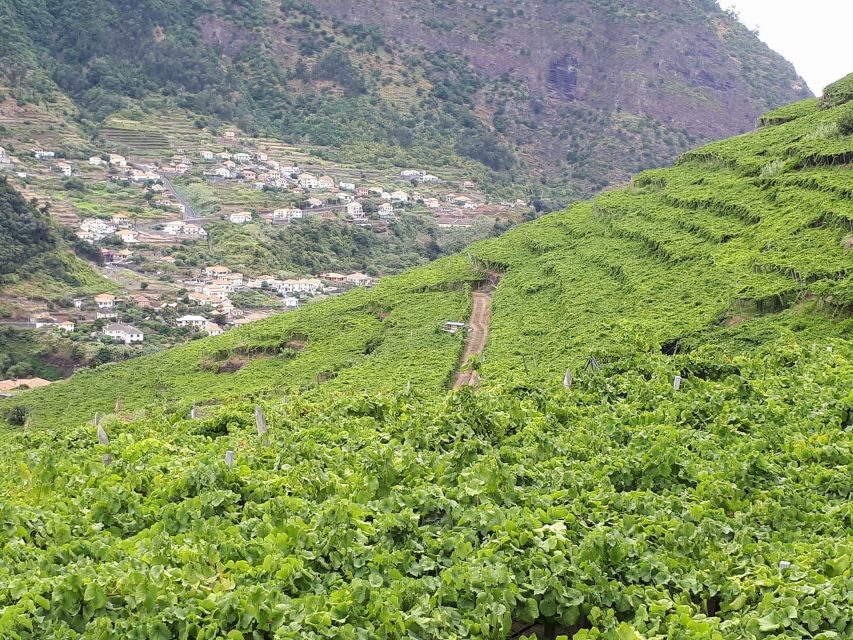 Madeira: Cabo Girão, Wine Tasting, & Serra d'Água Jeep Tour - Detailed Breakdown of Stops