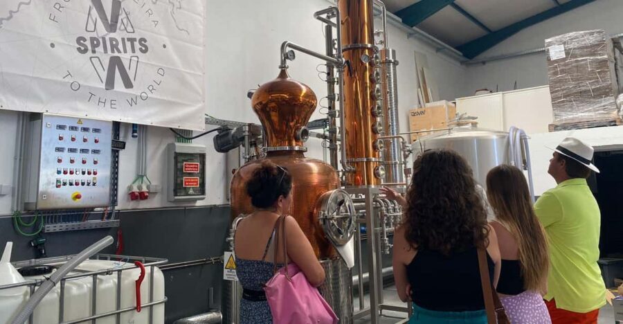 Madeira: Distilleries - Practical Details and Tips