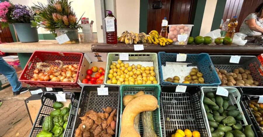 Madeira: East Coast, Sao Lourenço & Local farmers' market - Analyzing the Value