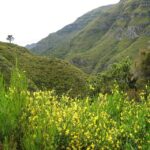 Madeira: Enjoy a Guided Levada Walk in the Rabaçal Valley - Key Points