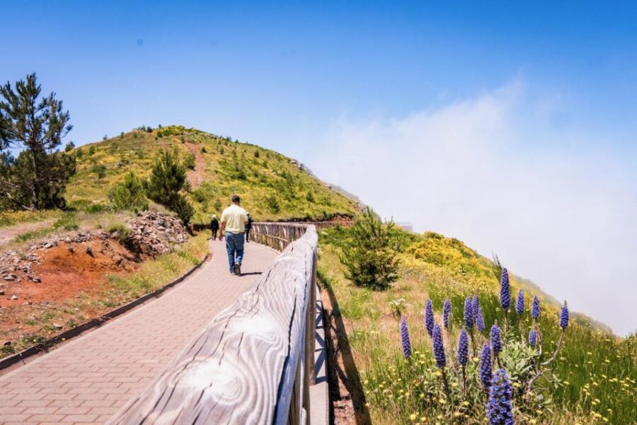 Madeira : Full Day Adult only East 4x4 Tour - Who Is This Tour Best For?