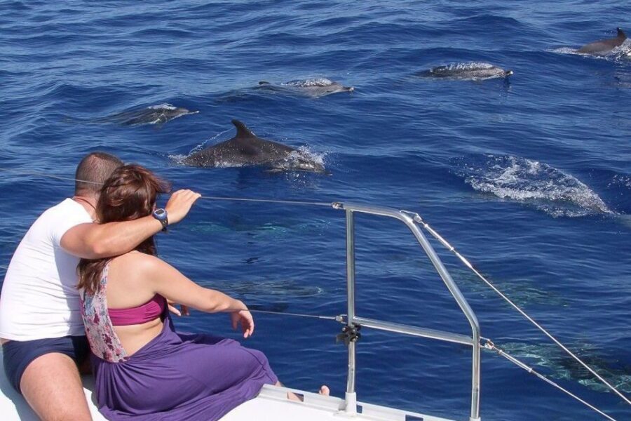 Madeira: Funchal Sunset Tour by Catamaran - A Deep Dive into the Experience
