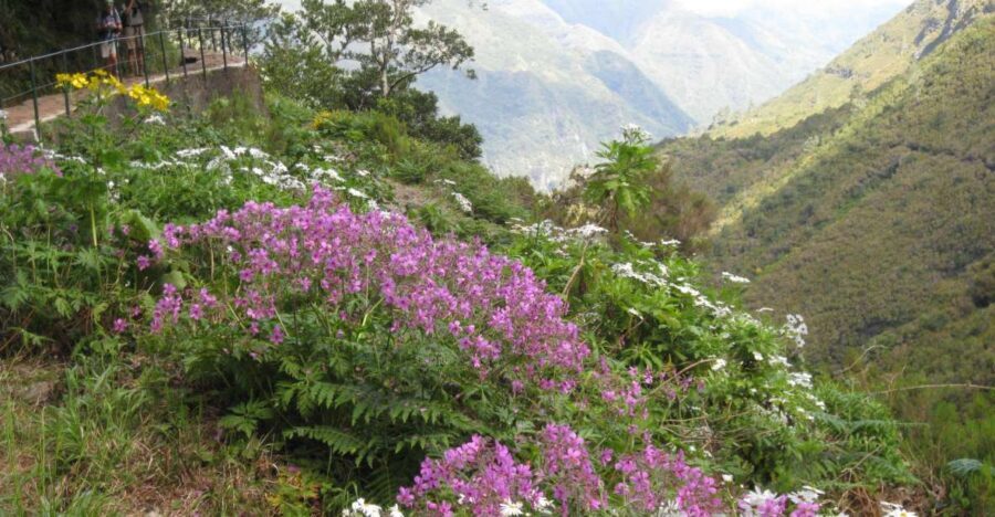 Madeira: Guided Full-Day Rabaçal Walk - What to Expect and Practical Tips