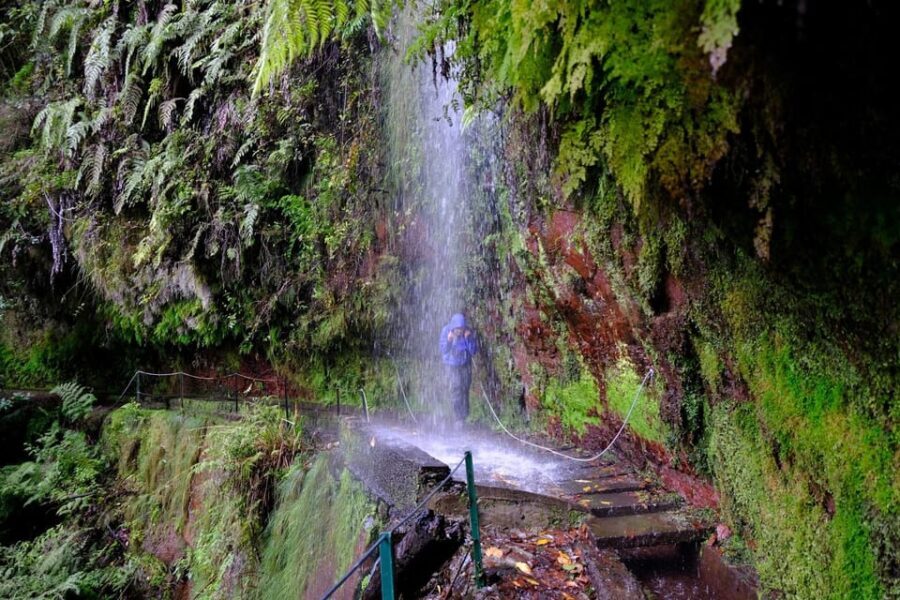 MADEIRA ISLAND WALK - HIDDEN CORNERS KINGS LEVADA - Why You’ll Love the Levada do Rei Walk