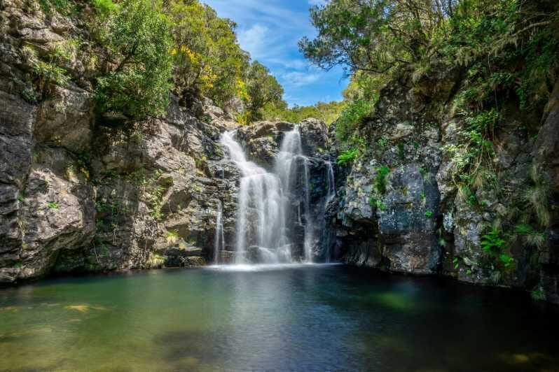 MADEIRA ISLAND WALK - LAKES OF MADEIRA , LEVADA DO ALECRIM - How the Tour Works: An In-Depth Breakdown