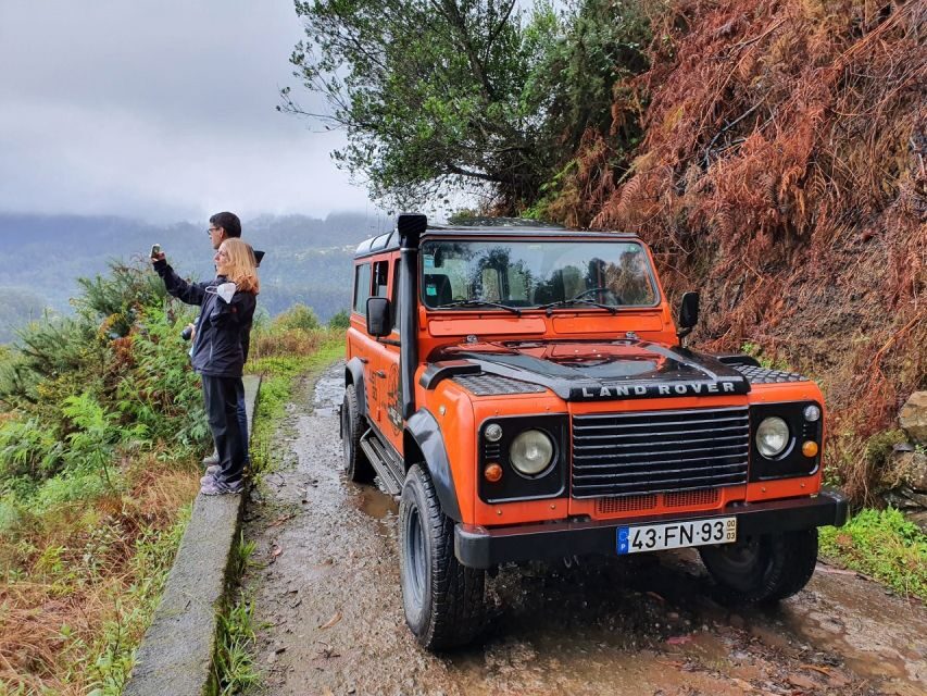 Madeira: Jeep 4x4 Old Forest Safari Tour with Pico Arieiro - What to Expect and Why It Matters