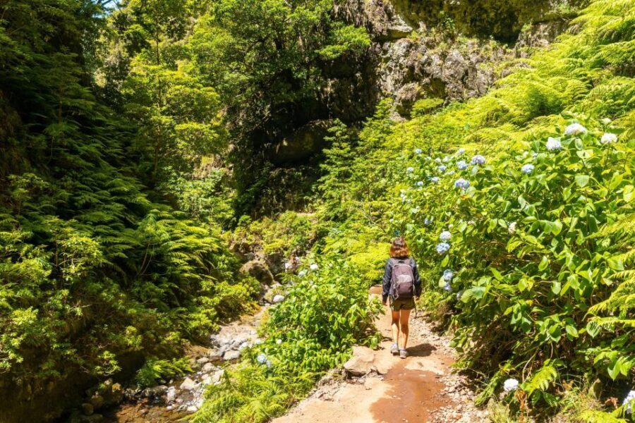 Madeira: Jungle Fever Levada Caldeirao Verde Hike Santana - What’s Included and What’s Not