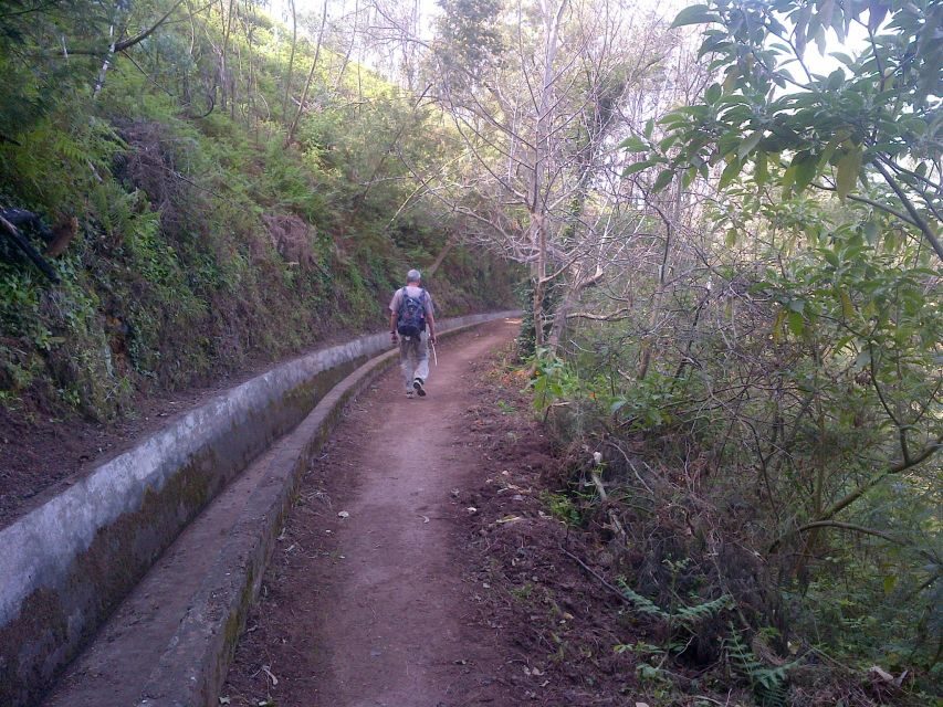 Madeira: Levado do Norte 2-Hour Hiking Tour - What Makes This Tour Special