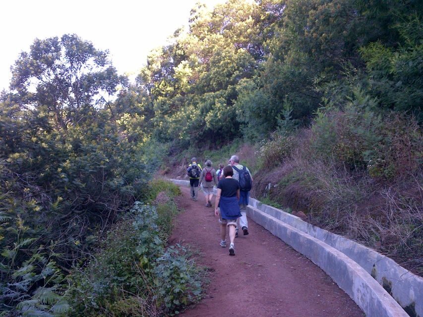Madeira: Maroços Landscapes 2.5-Hour Guided Walk - Who Will Love This Tour?