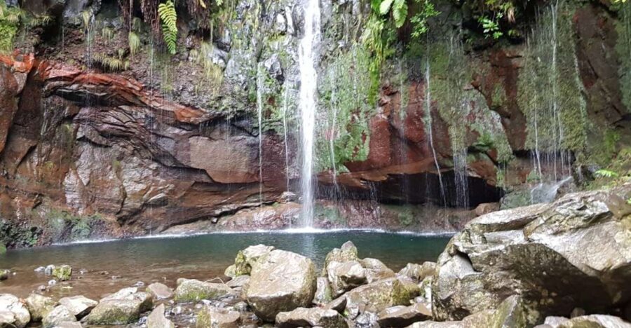 Madeira: Mountain Walk with Lagoon and Waterfalls - Authentic Feedback from Participants