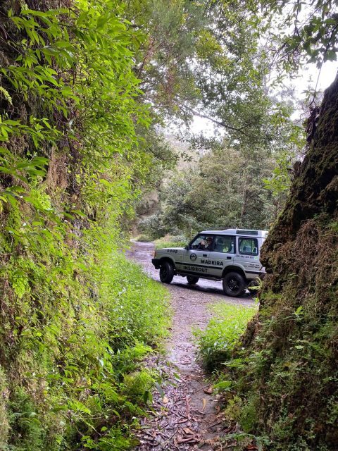 Madeira "Mystery Tour" Half-Day - Private 4x4 Jeep - Authentic Experiences You Can Expect