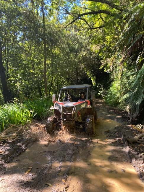 Madeira: Off-Road Buggy Driving Experience - The Route and Its Highlights