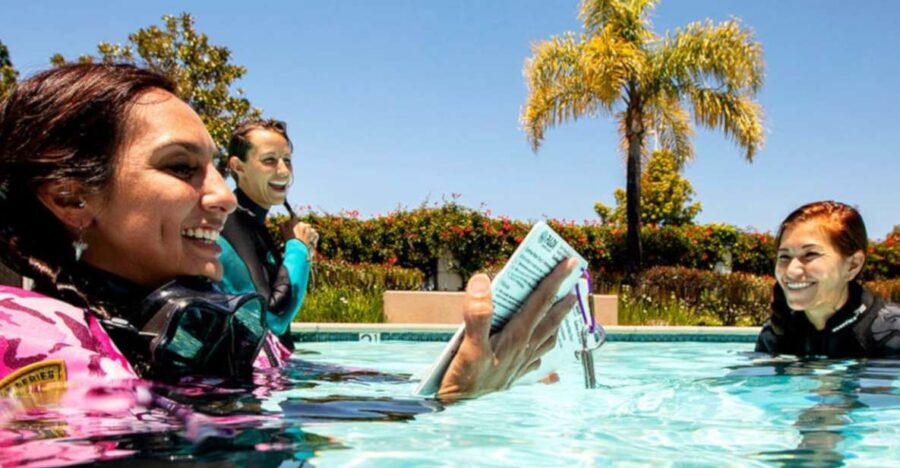Madeira: Open Water Diver First Certification Course - The Itinerary: A Day-by-Day Breakdown