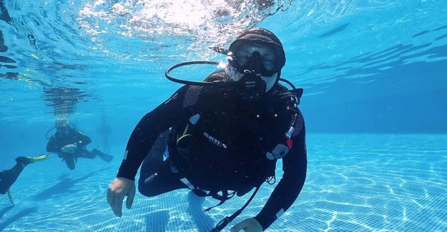Madeira, Ponta São Lourenço: Scuba Diving for Beginners - Who Should Consider This Tour?