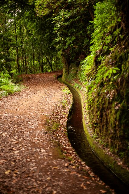 Madeira: PR 18 - Levada do Rei Hike Transfer - What Do Reviews Say?