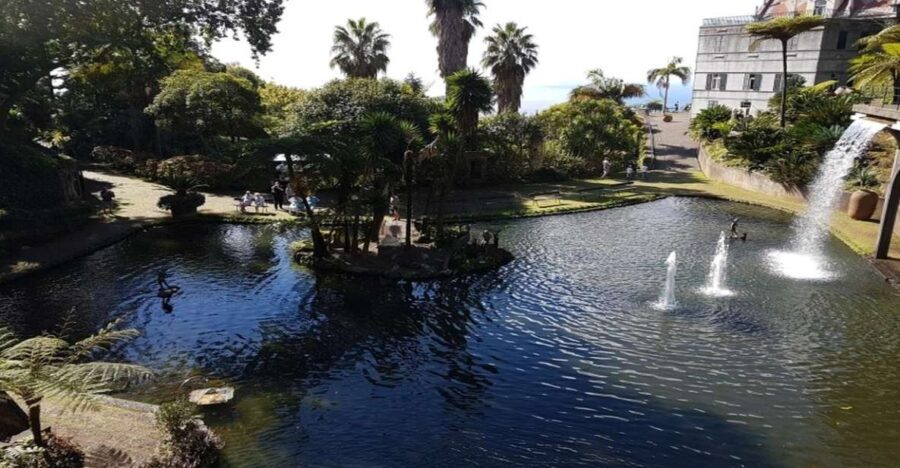 Madeira: Private Half-Day Guided Gardens Tour - Who Would Love This Tour?