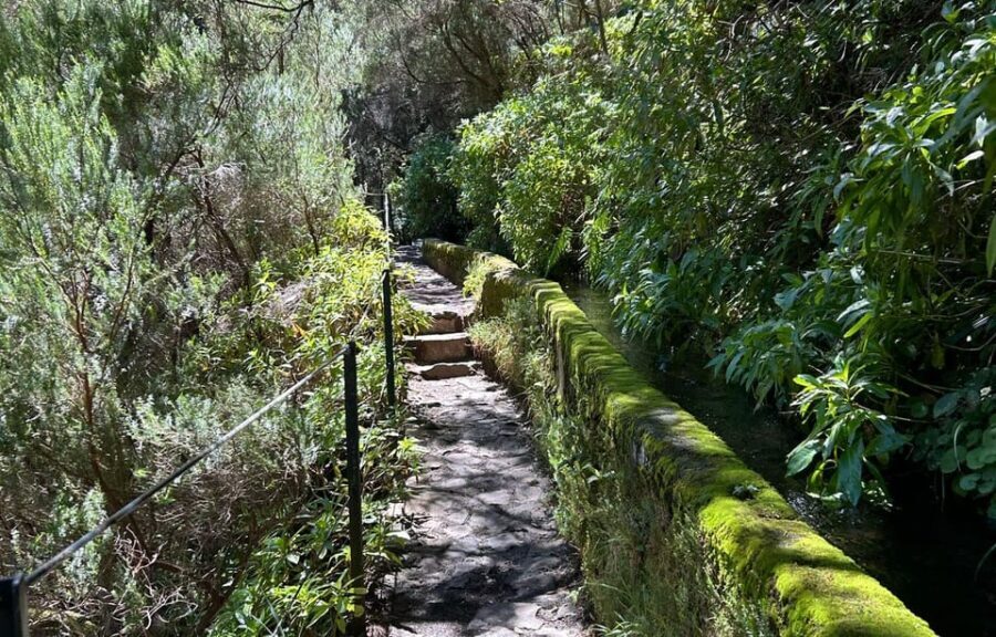 Madeira: Private Levada/Hike Experience with a Local Guide - Detailed Itinerary Breakdown