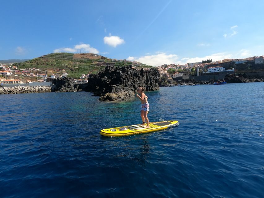 Madeira: Private Paddleboard & Snorkel - Why This Tour Offers Great Value