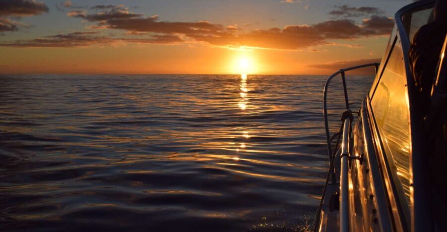 Madeira: Private Sunset Yacht Cruise with Snorkeling & Wine - Final Thoughts: Is It Worth It?