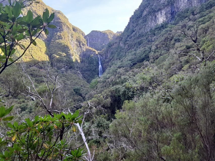 Madeira: Private Walking Tour of Levada das 25 Fontes PR6 - Detailed Itinerary & Highlights