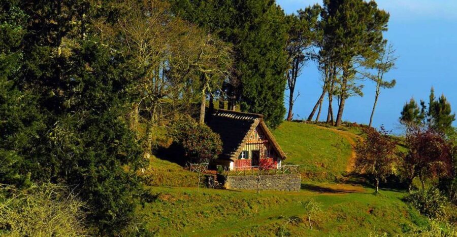 Madeira: Queimadas, Caldeirão Verde and Levada Walk - Practical Tips and Considerations