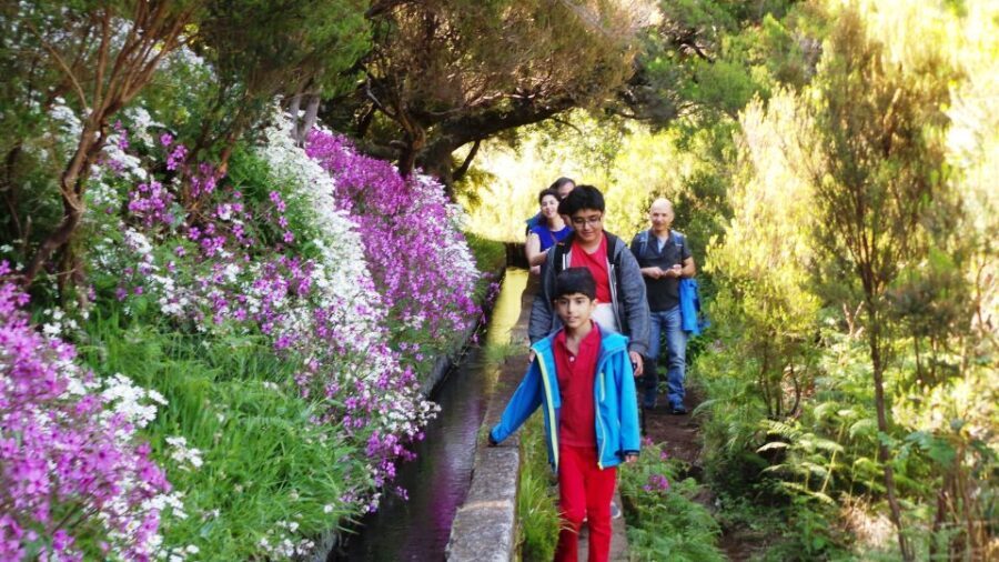 Madeira: Rabaçal 25 Fountains Levada Walk & Cabo Girão - What Makes This Tour Stand Out?