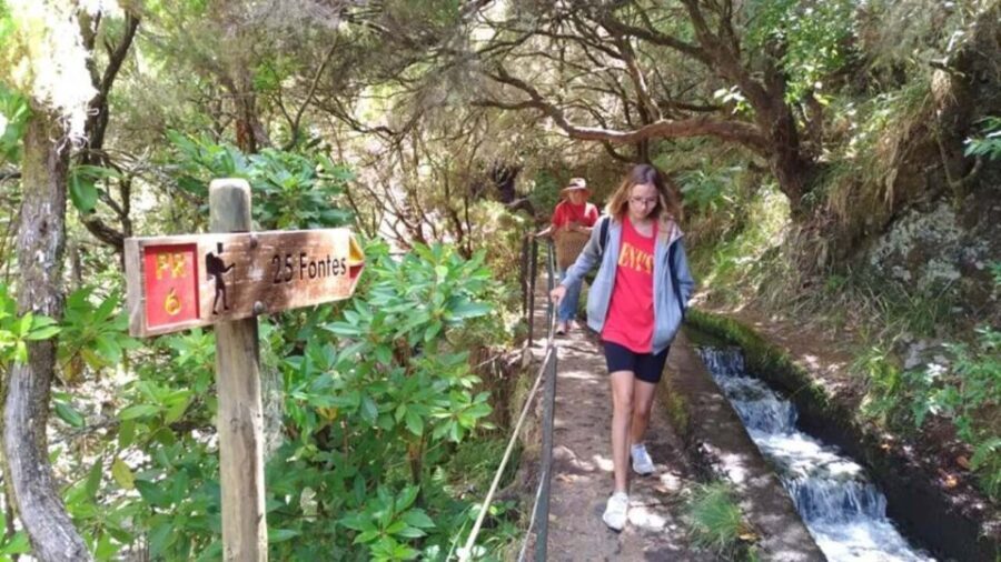 Madeira: Rabaçal, Risco and 25 Fontes Guided Hiking Tour - What to Expect: Practical Details