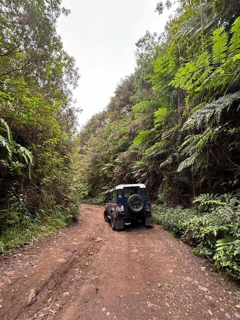 Madeira: Santana; Discover the enchanting East: Duration 7,5h - What to Expect in Terms of Experience and Value