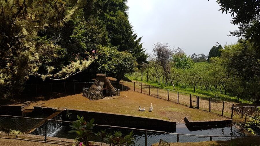 Madeira: Santana Traditional Houses Private Half-Day Tour - An In-Depth Look at the Tour