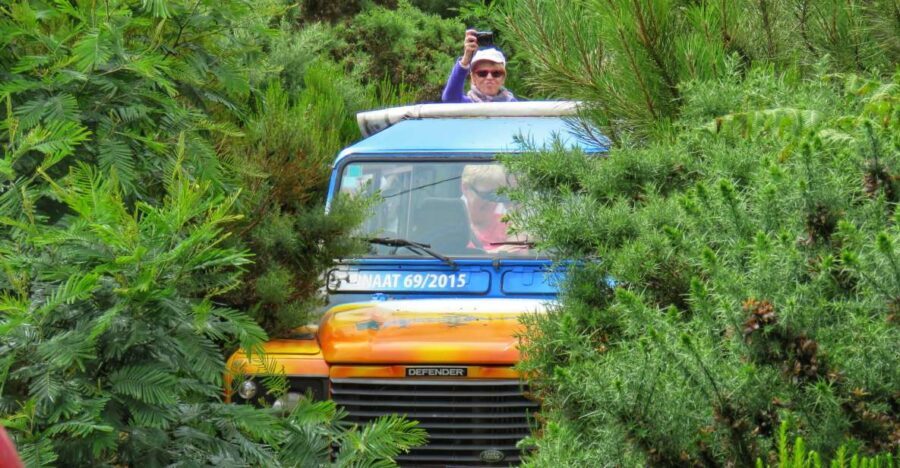 Madeira : Santo de Serra Local Farmers' Market half day trip - The Sum Up: Who Will Love This Tour?