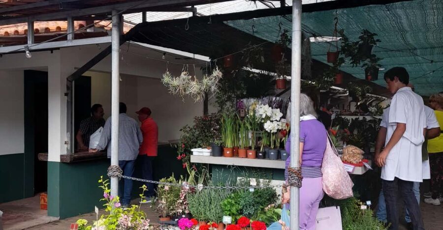 Madeira: Sunday Market in Santo da Serra - The Logistics: What You Should Know