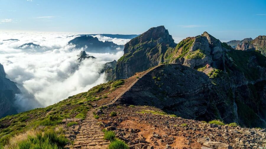 Madeira: Sunrise Tour with Hotel Pickup - The Itinerary: What Makes It Special