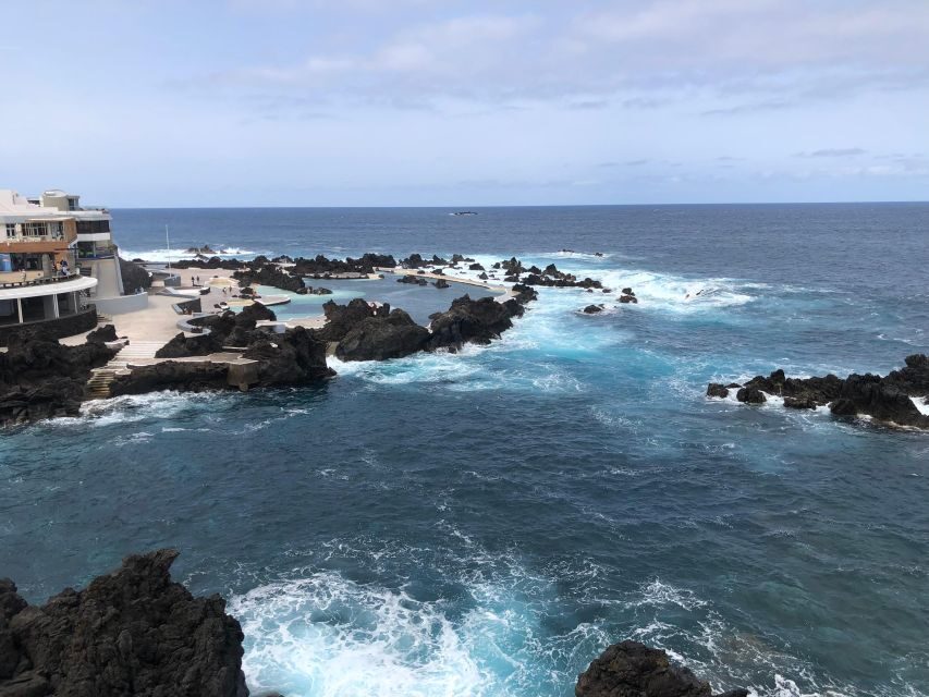Madeira West Safari - The natural lava pools of Porto Moniz - Who Will Love This Tour?