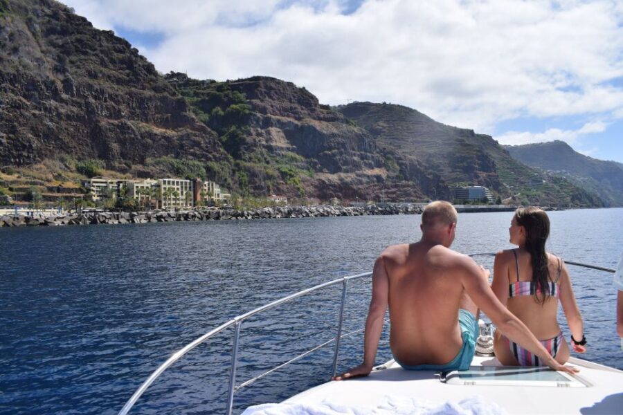 Madeira: Whale and Dolphin Watching Private Cruise - An In-Depth Look at the Madeira Whale and Dolphin Private Cruise