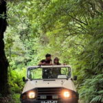 Madeiral de Jeep: (Skywalk, Seixal, Porto Moniz, Fanal) - Scenic Drive through São Vicente and Vineyards