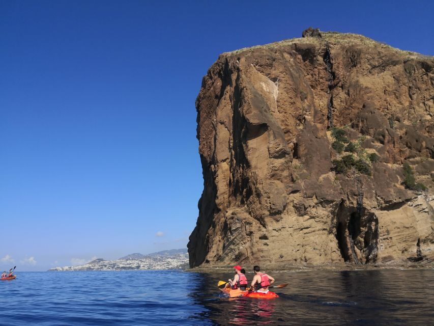 Madeiras Marine Reserve: Kayak & Snorkelling Trip - Who Will Appreciate This Tour?