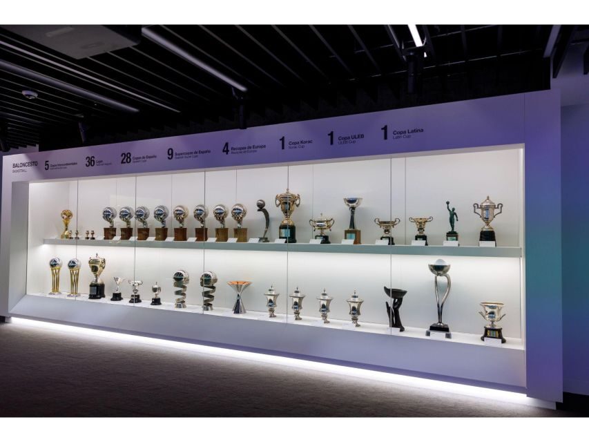 Madrid: Bernabeu Stadium Private Tour - Who Should Consider This Tour?